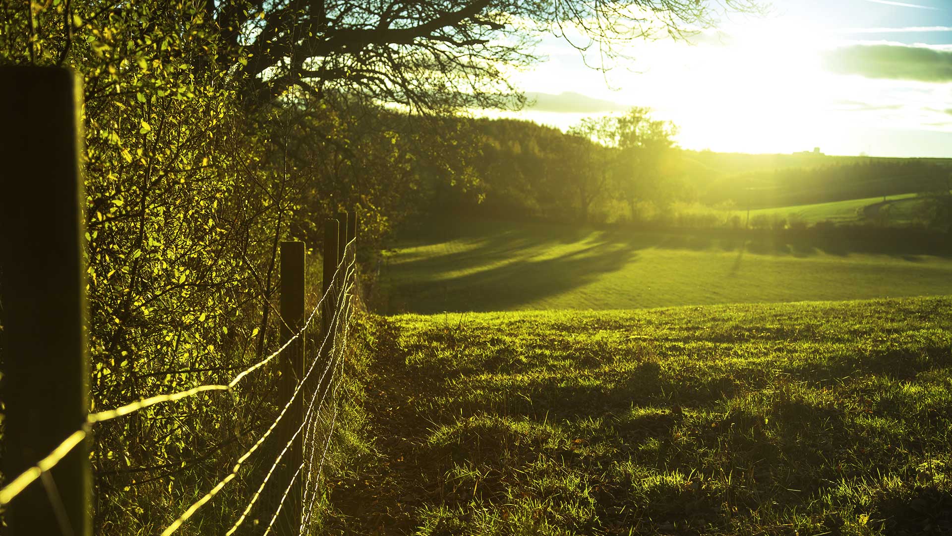 Home - Riverside Farm